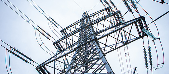 2024 finalists | Transpower