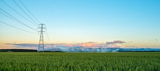 System and market insights | Transpower