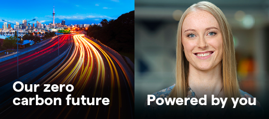 Our people | Transpower